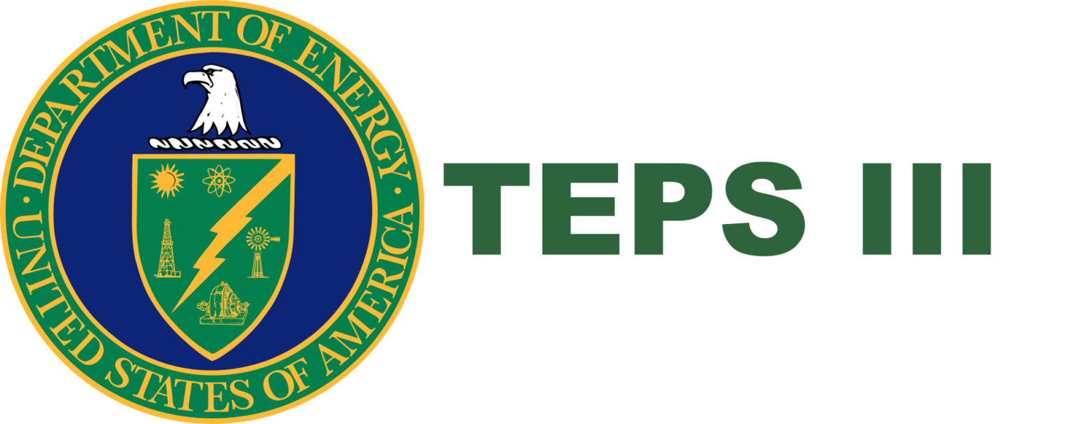 TEPS III Government Contractor SDVOSB | AMSG