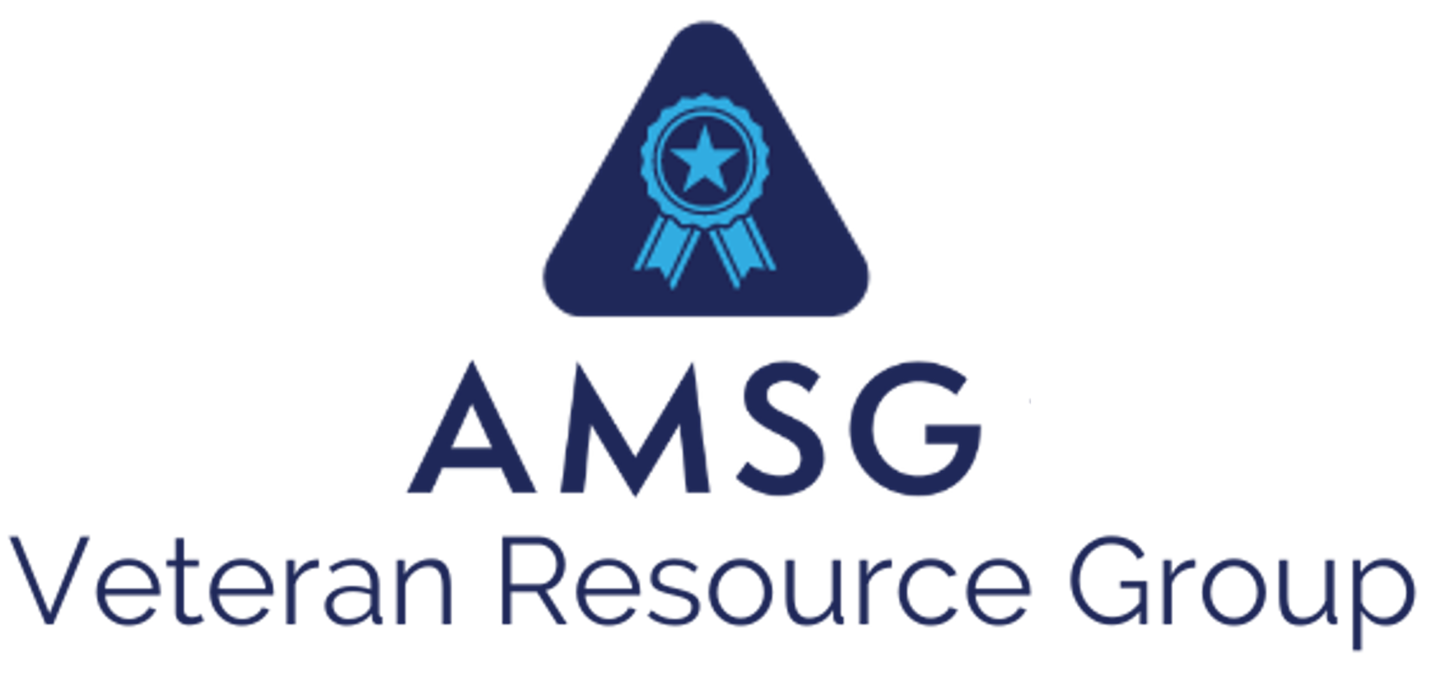 AMSG Veterans Mentorship Program - AMSG
