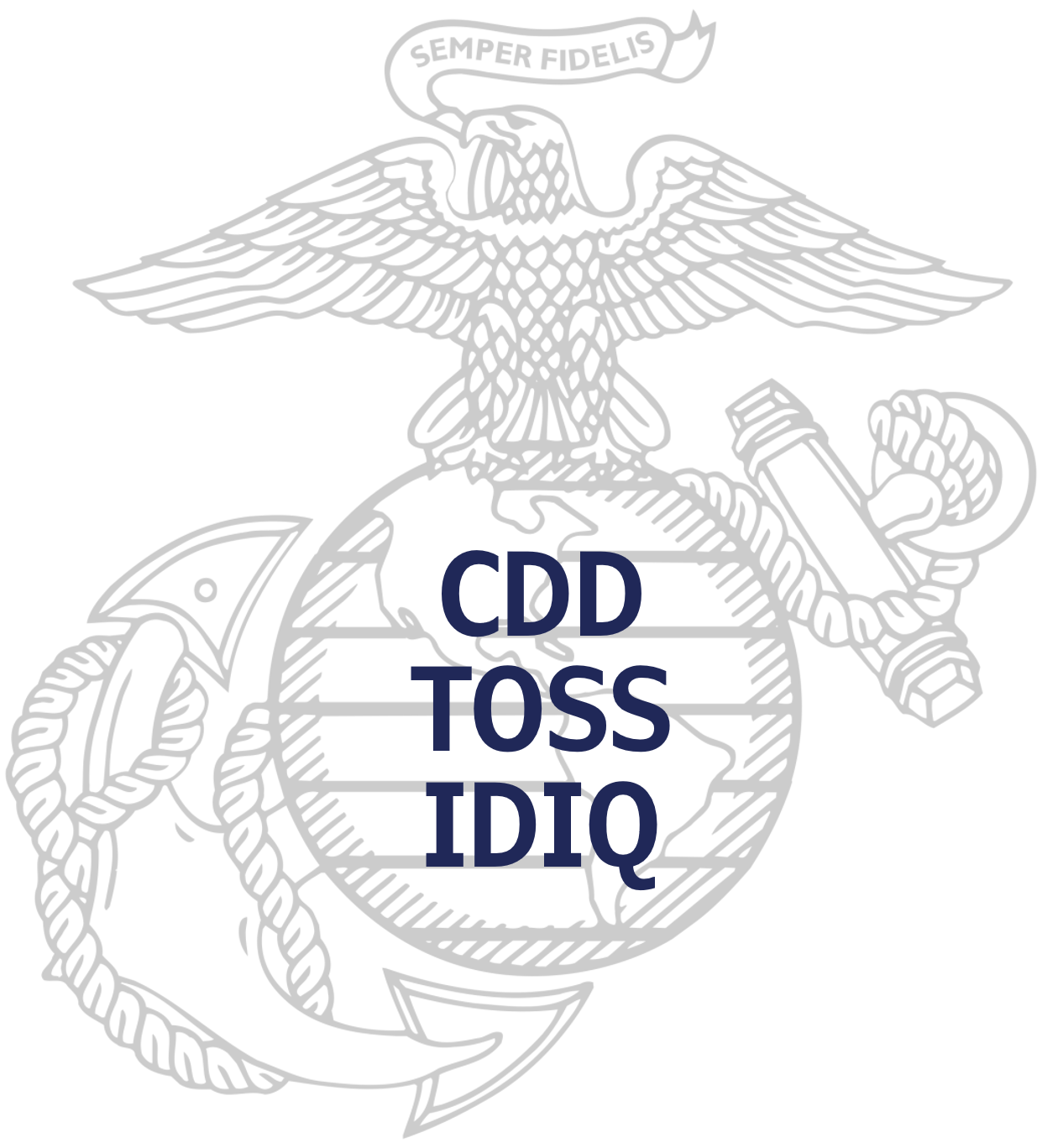 CDD TOSS IDIQ Government Contractor SDVOSB | AMSG